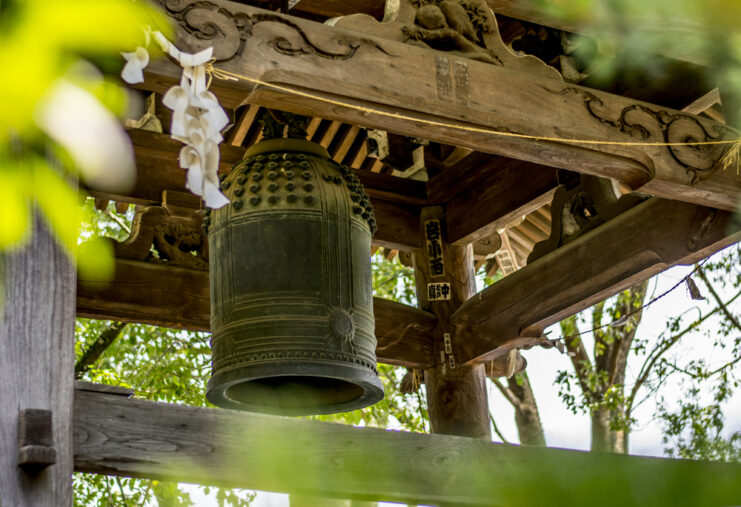 Quiz: New Year's Eve Customs - In Which Country Do You Find Each Of ...